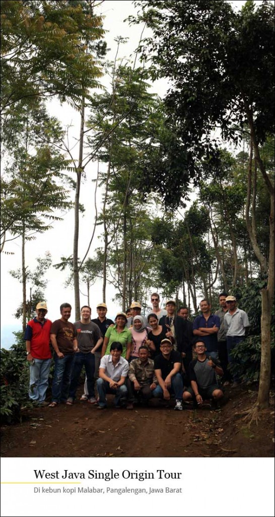 Malabar Java Preanger – Cikopi