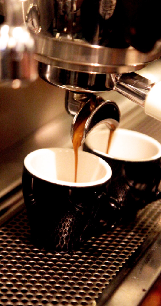 Matt Perger – Cikopi